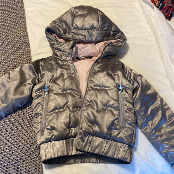 The North Face | Jackets & Coats | Silver North Face Girls Coat | Poshmark